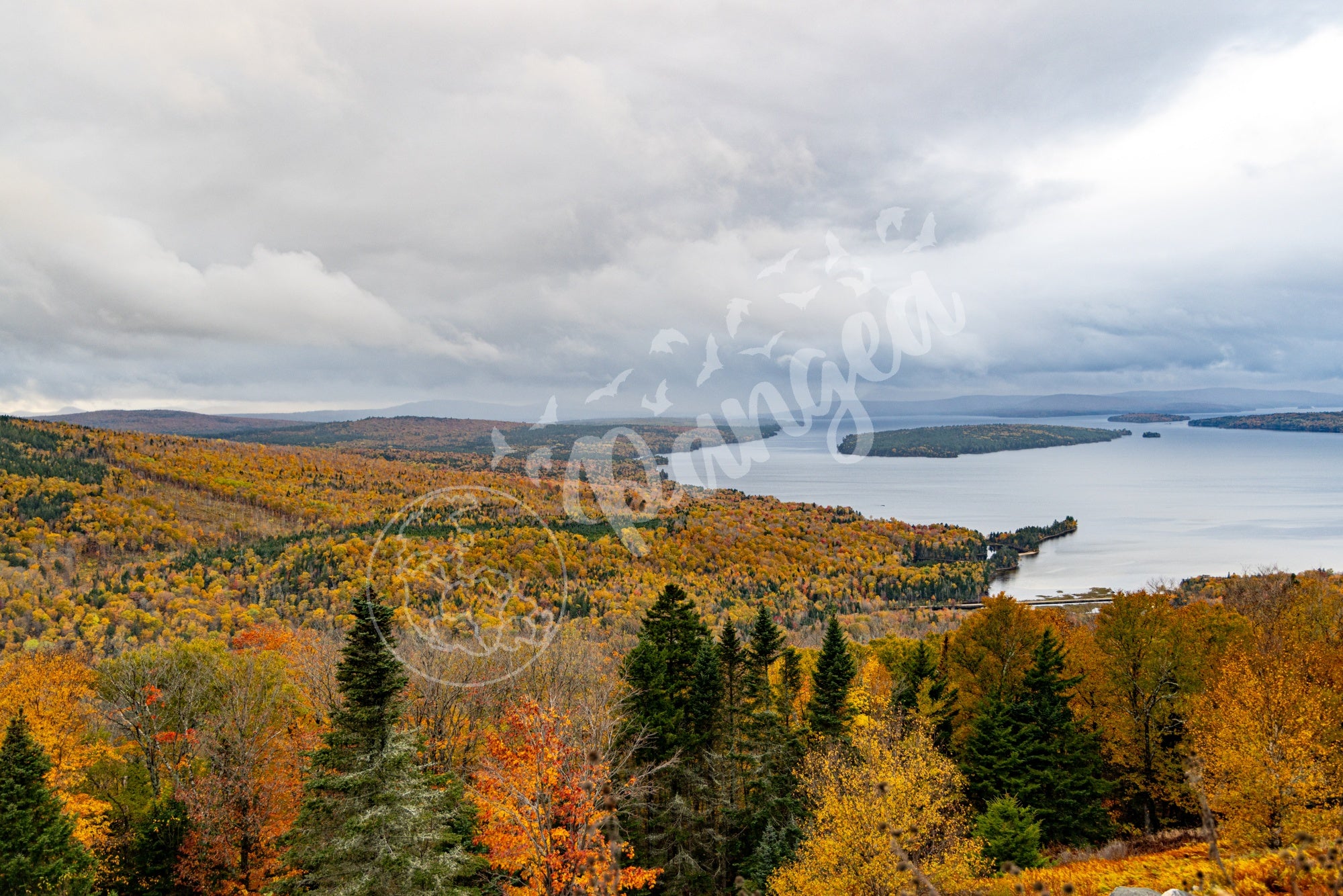 Wall Art: Height of Land Fall Colors | Pangea Store – Pangea Travel Blog